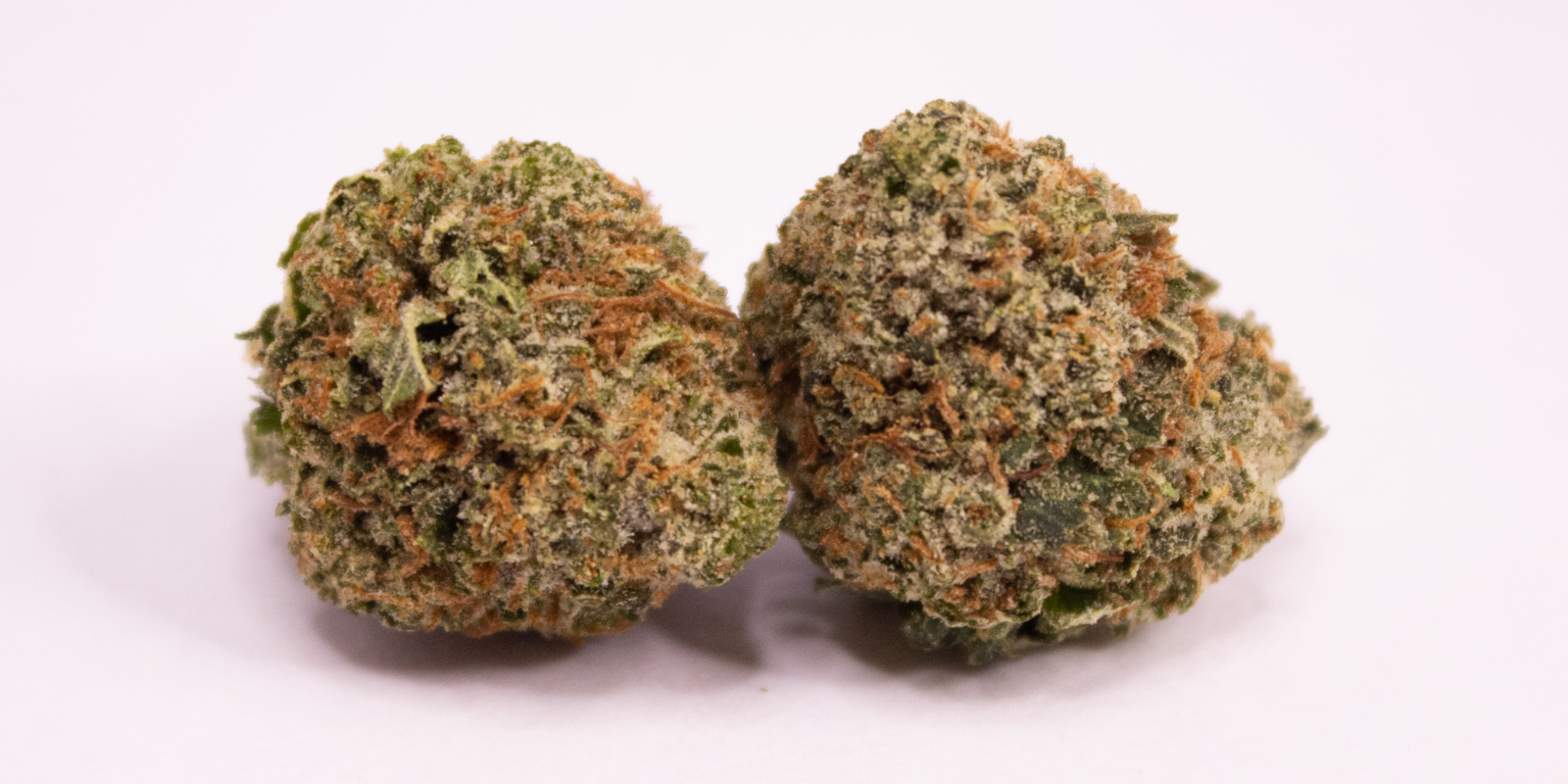 Small Pink Kush - Weedsy.ca